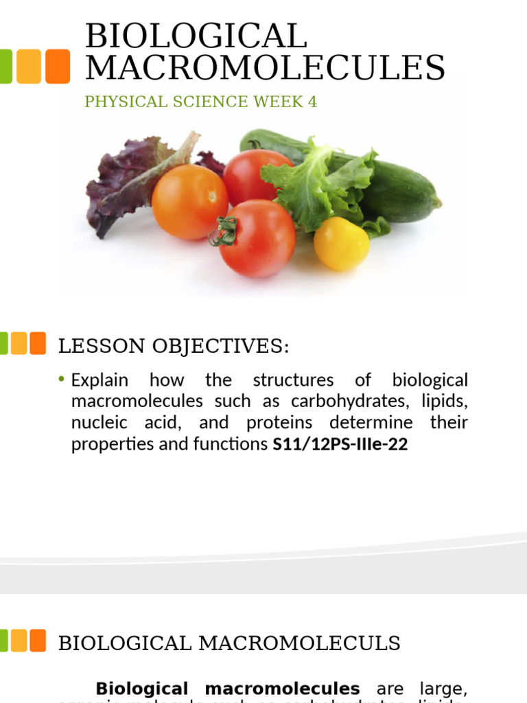 Overview of Biological Macromolecules | PDF | Lipid | Carbohydrates