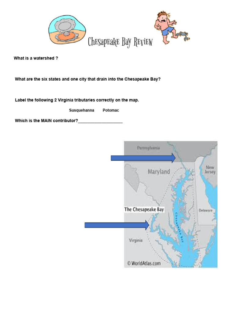 Chesapeake Bay Educational Guide | PDF | Chesapeake Bay | Biogeography