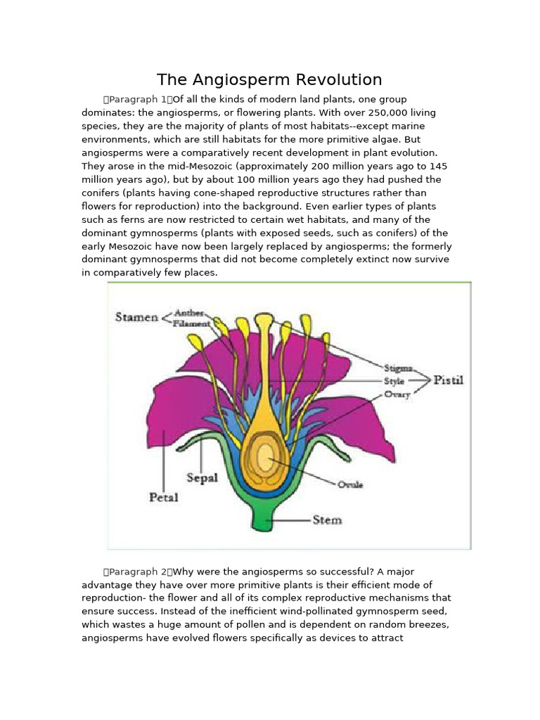 NPO3-2 The Angiosperm Revolution | PDF | Flowers | Pollination