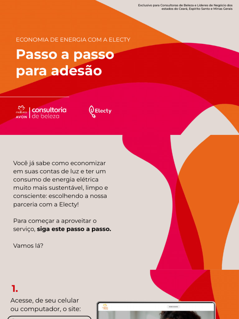 Economia de Energia - Passo a Passo - Como Escolher a Electy | PDF