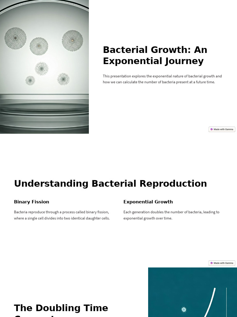 Bacterial Growth An Exponential Journey | PDF