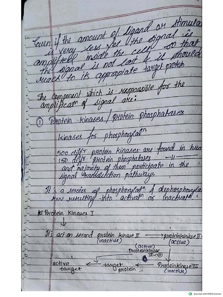 CMB Unit 2 - 4 | PDF