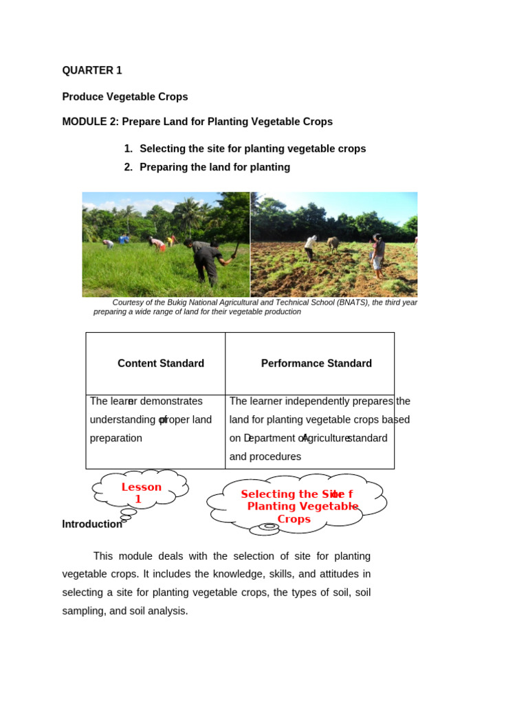 Produce Vegetables Crops Module 2 Planting Vegetable | PDF | Tillage | Soil