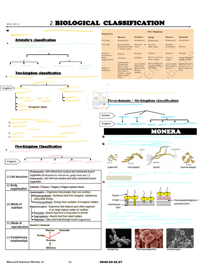 Biological Classification | PDF | Fungus | Sexual Reproduction