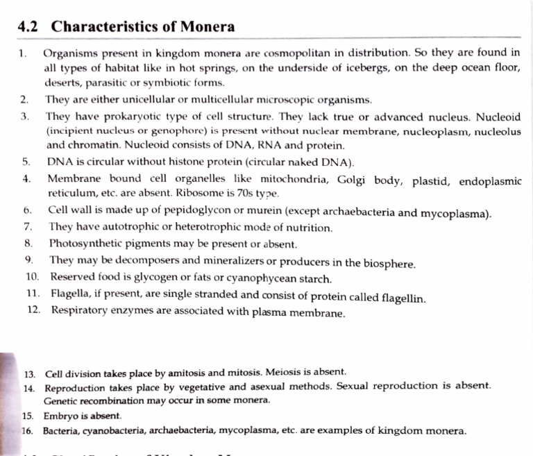Key Characteristics of Monera | PDF