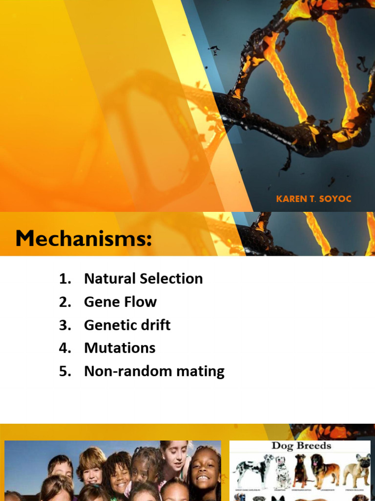 Evolutionary Mechanisms Explained | PDF | Genetics | Natural Selection