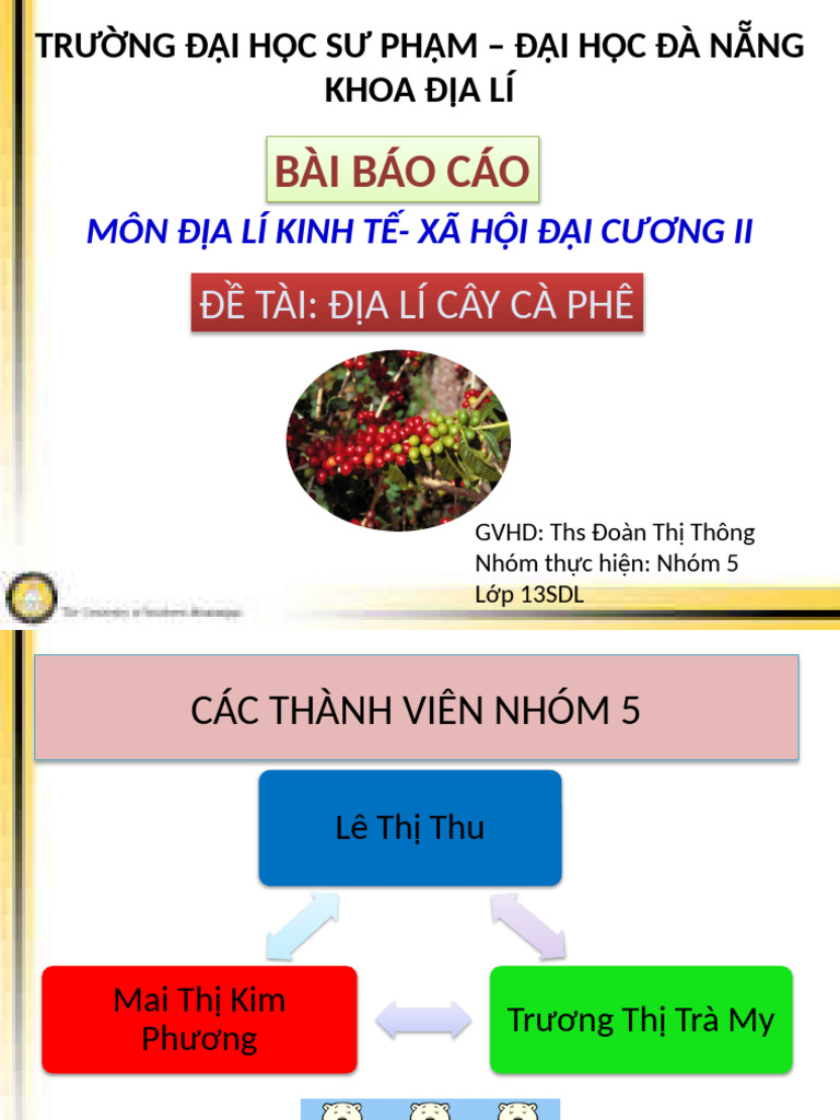 Dia Li Cay Ca Phe | PDF