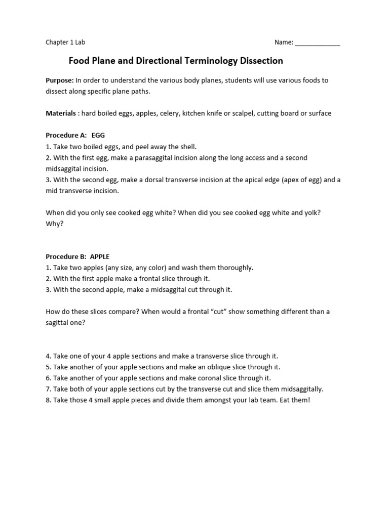 Food-Based Body Plane Dissection Lab | PDF | Anatomical Terms Of ...