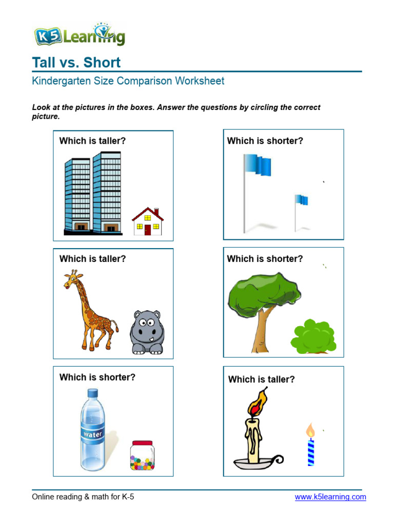 Kindergarten Tall vs. Short Worksheet | PDF