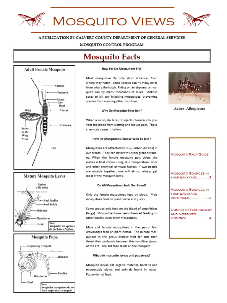 Mosquito Fact Sheet Website 2019 - 201902210916359014 | PDF | Mosquito ...