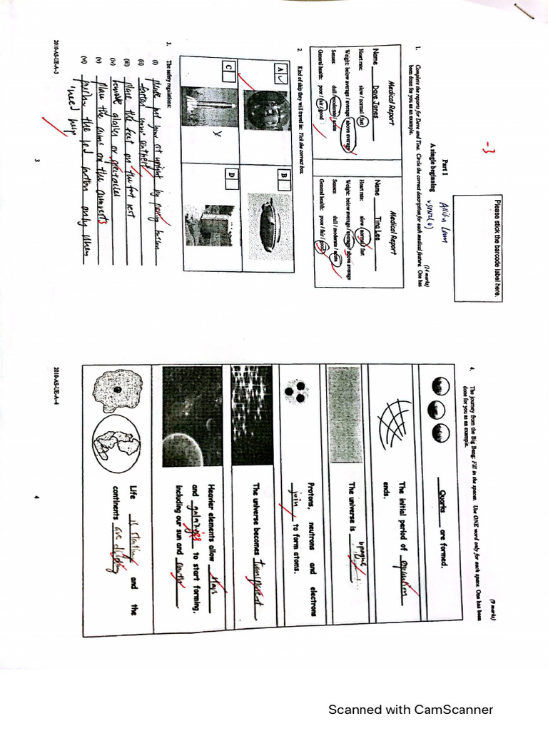 2010 ALevel Extra Listening | PDF