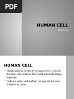 Functions and Composition of Succus Entericus | PDF | Digestive System ...