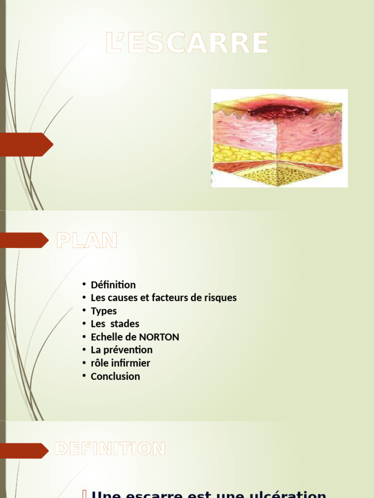 Définition et prévention des escarres | PDF | Spécialités médicales ...