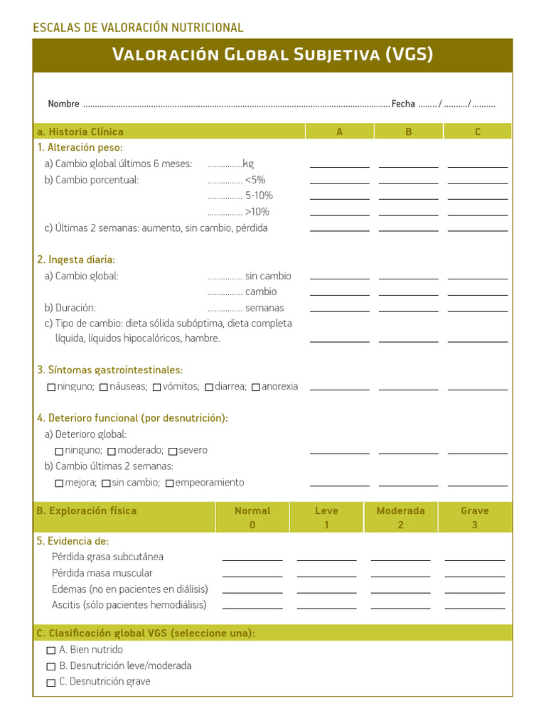 Valoracion Global Subjetiva VGS | PDF