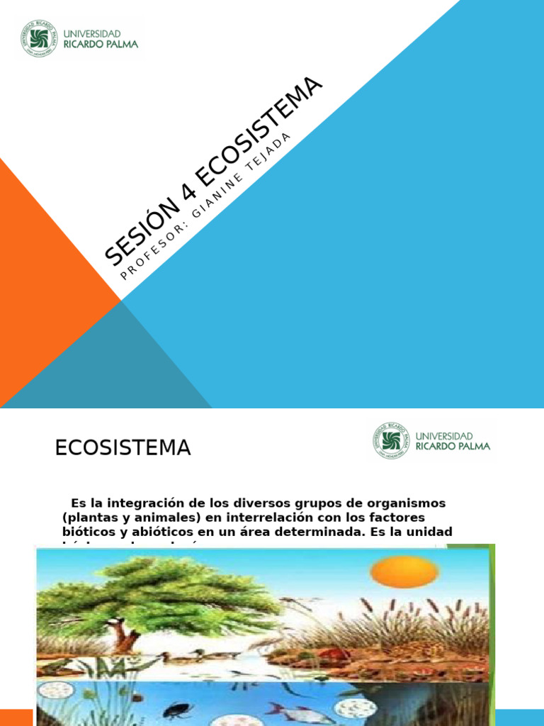 Ecosistema Final (1) | PDF | Red alimentaria | Biomasa (Ecología)