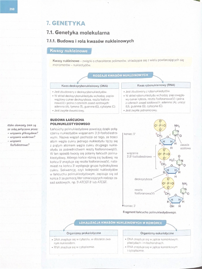 Genetyka Molekularna | PDF