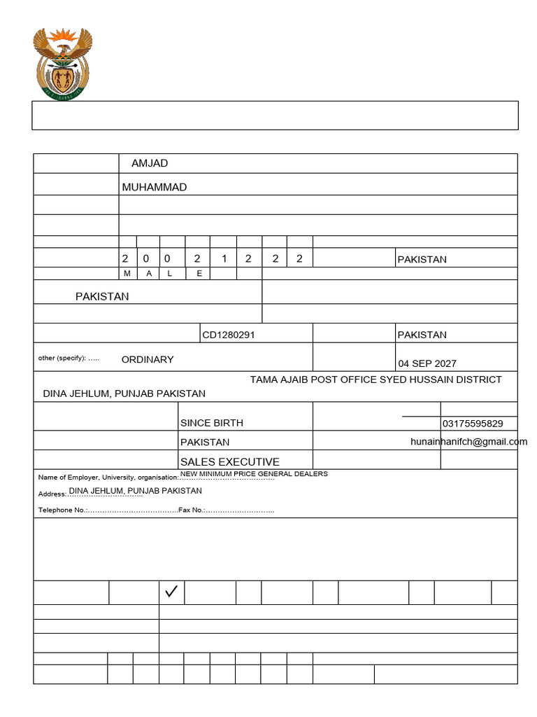 South Africa Visa Application Form | PDF | Travel Visa | Passport
