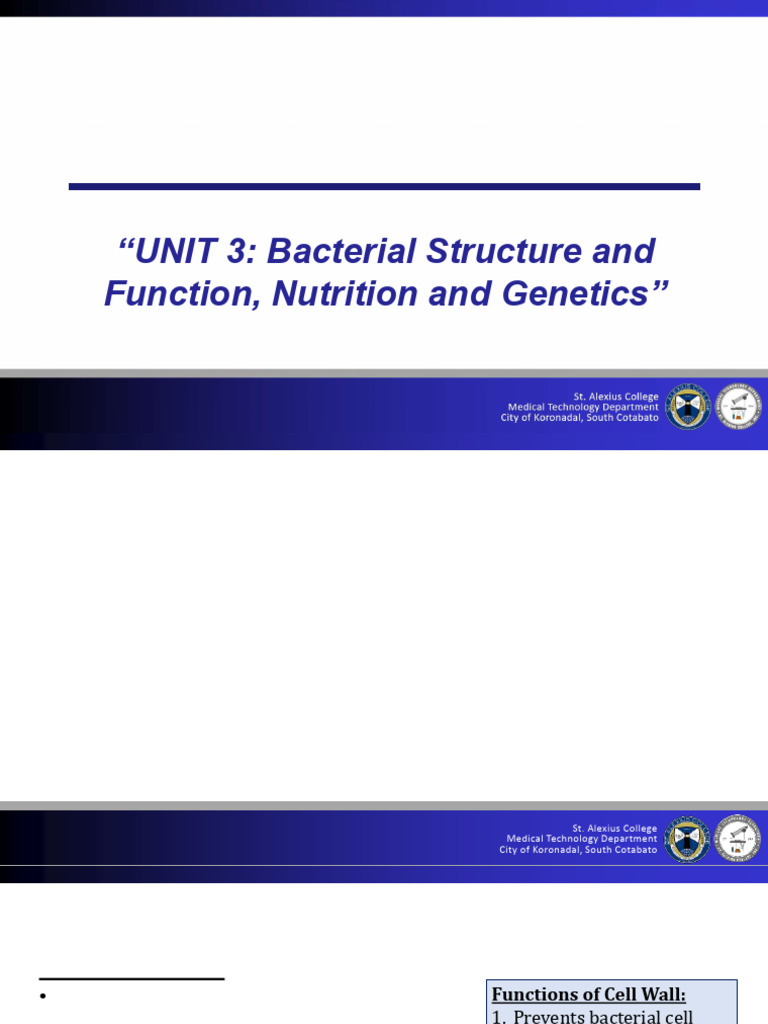 Bacterial Structure and Function Overview | PDF | Bacteria | Staining