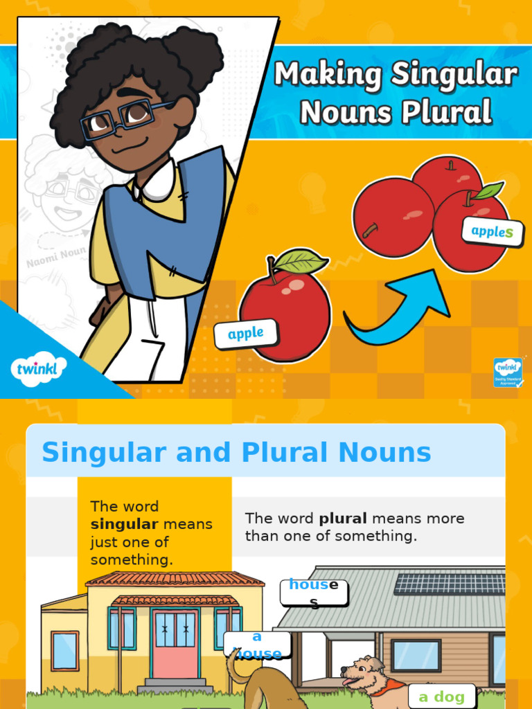 Singular and Plural Nouns Explained | PDF