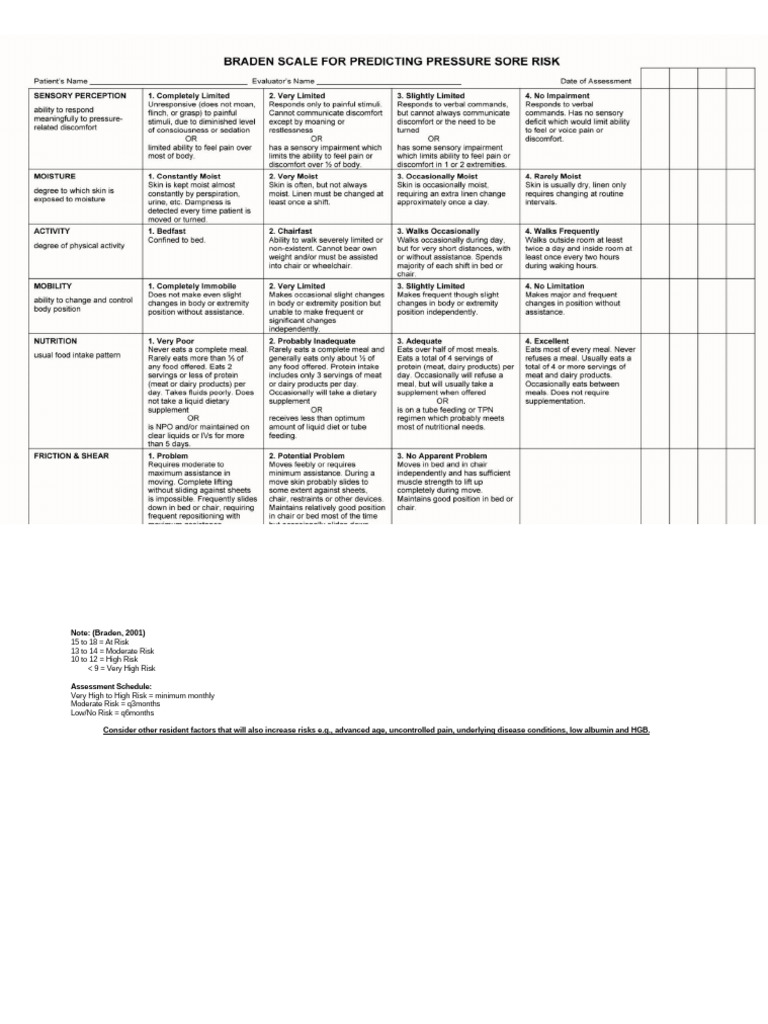 Braden Scale Risk Assessment Guide | PDF