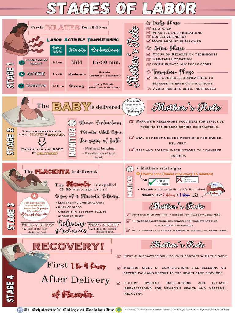 Stages of Labor BSN 2b Group 2 | PDF | Childbirth | Placenta