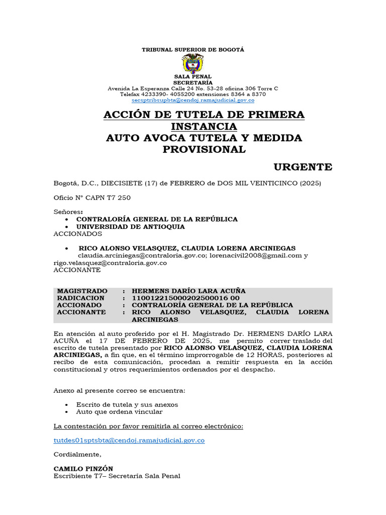AVOCA Y MEDIDA PROVISIONAL-fusionado-comprimido | PDF | Derecho ...