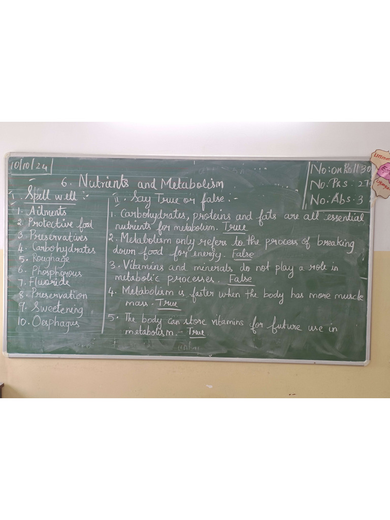 Grade 4, Lesson 5 | PDF