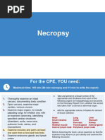 Detailed Necropsy Report Template | PDF | Stomach | Autopsy