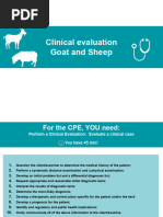 Goat Vital Signs and Health Guide | PDF | Goat | Thermoregulation