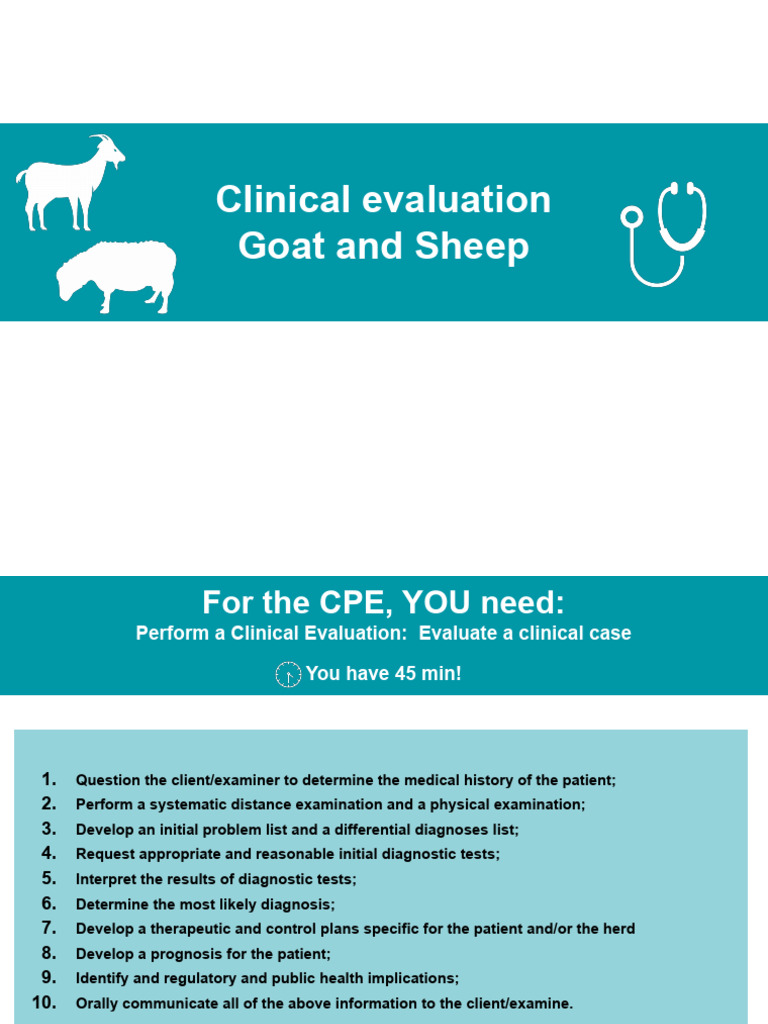 CPE - Sheep and Goat - Clinical Evaluation | PDF | Pulse | Lung