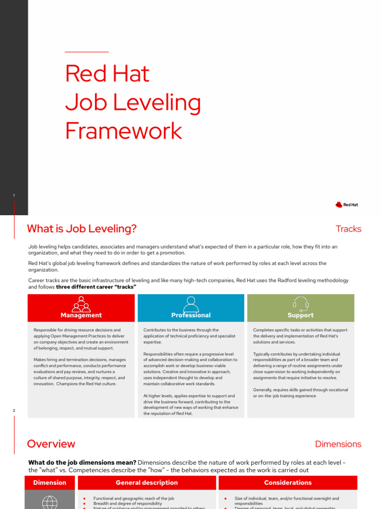 Job Leveling Framework _ version CY2022 (2) | PDF | Expert | Business