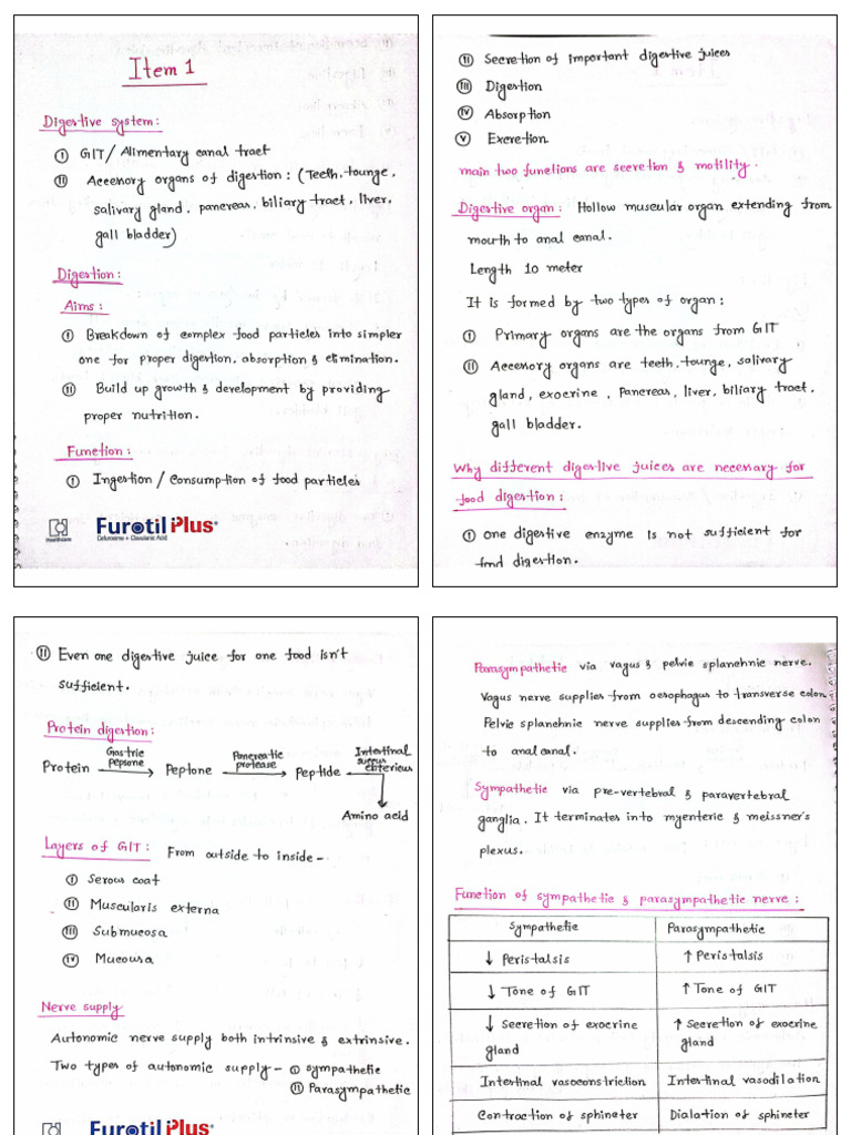 GIT &renal Physiology by DrA S M Rowsan Nawaz - 241130 - 211106 | PDF