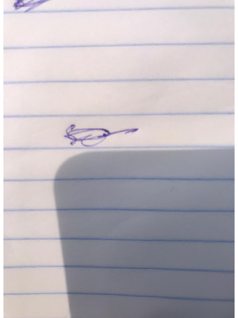 Samson's Signature | PDF