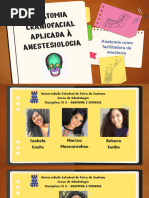 Forames Cranianos: Funções e Localizações | PDF | Anatomia humana ...