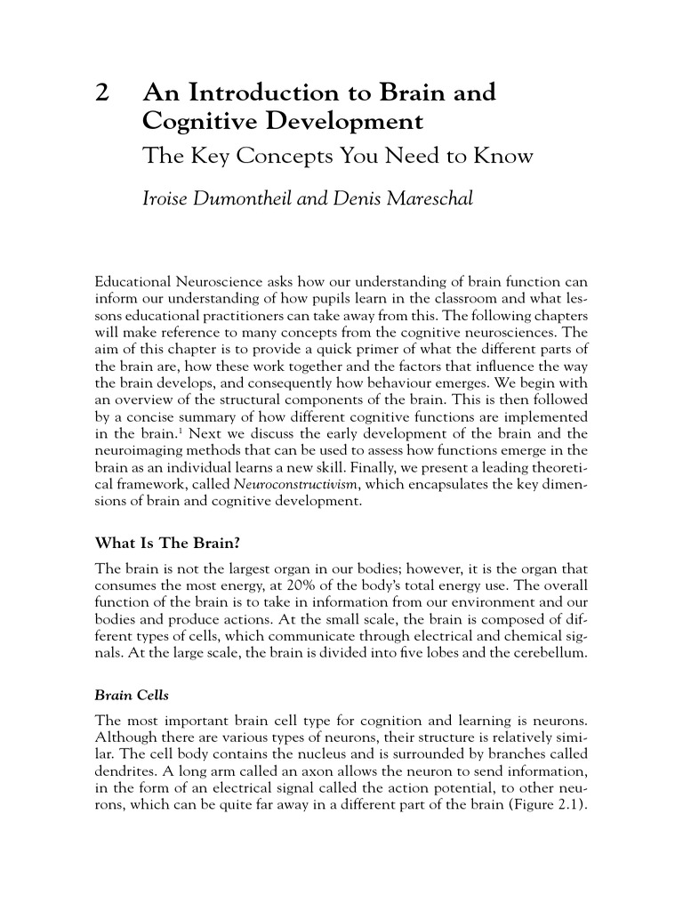 Brain and Cognitive Development_chapterpdf | PDF | Neuron ...