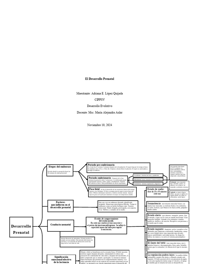 Mapa Conceptual Desarrollo Prenatal | PDF | El embarazo | Embrión