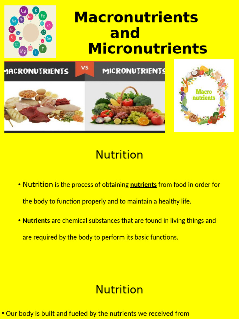 Macromolecules and Micromolecules (1) | PDF | Carbohydrates ...