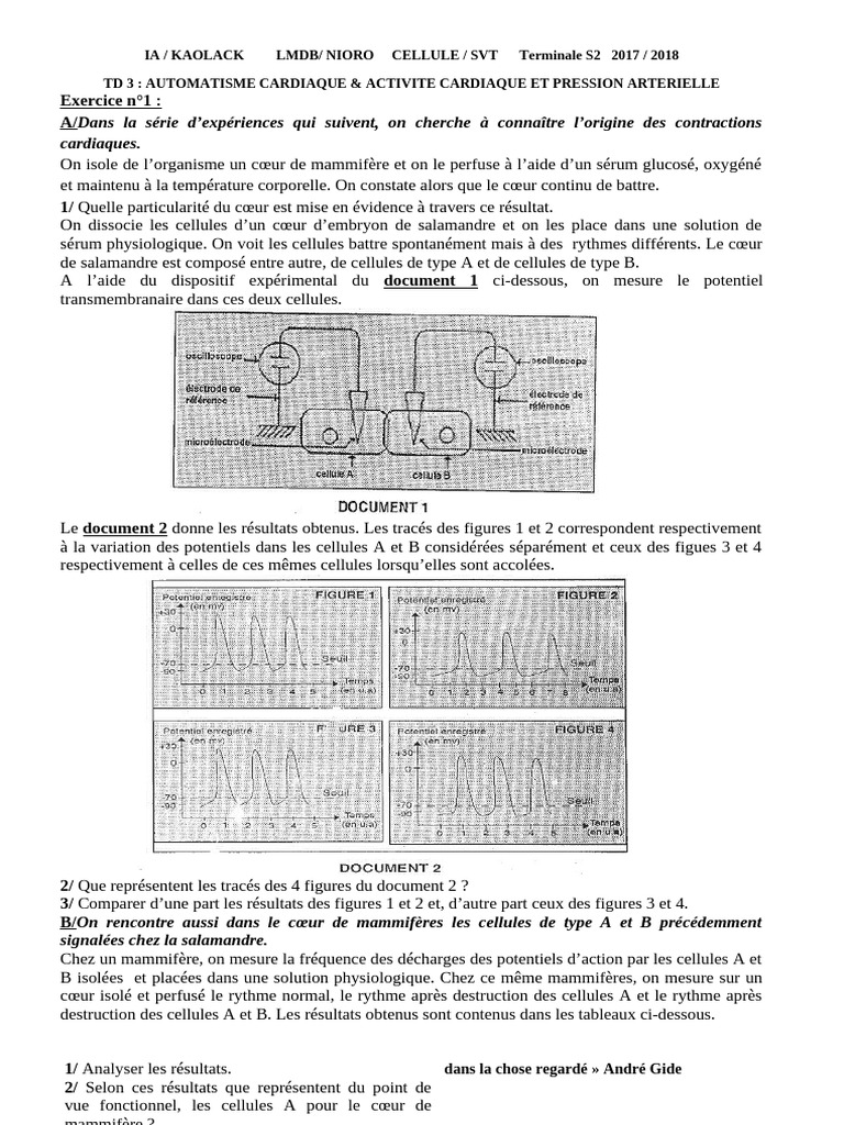 Automatisme cardiaque et régulation nerveuse | PDF | Fréquence ...
