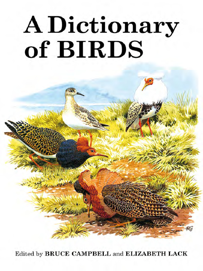 A Dictionary of Birds | PDF | Birds | Ornithology