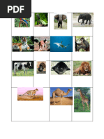 2 Chester Zoo Organisational Structure | PDF | Wellness