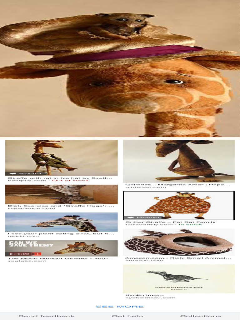 Rat and Giraffe Hugging - Google Search | PDF