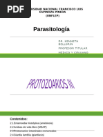Triatominos: Vectores de Chagas | PDF | Biología