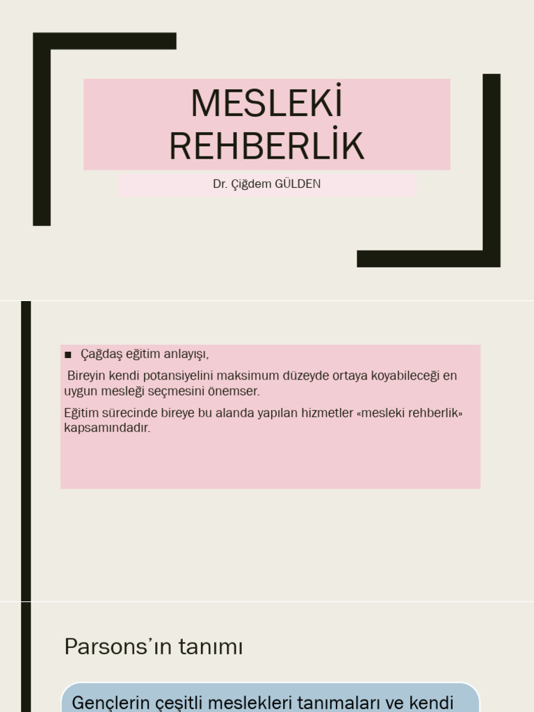 Mesleki Rehberlik PDF | PDF