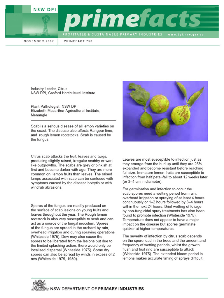 Lemon Scab Management in Citrus Trees | PDF | Branches Of Botany | Botany