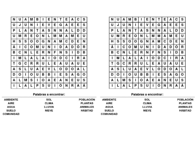 Sopa de Letras Del Ecosistema | PDF