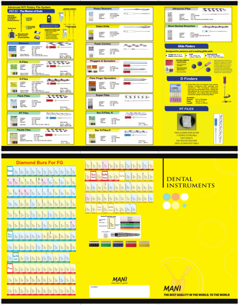 3 Fold Endo Brochure | PDF