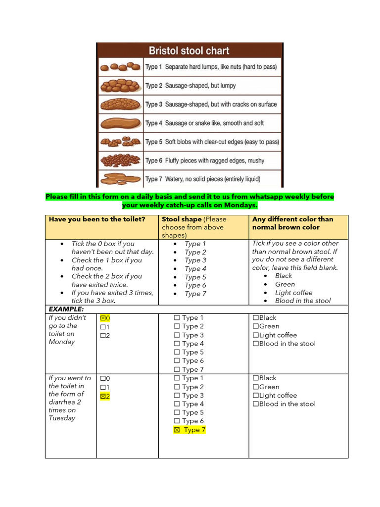 Stool Chart | PDF