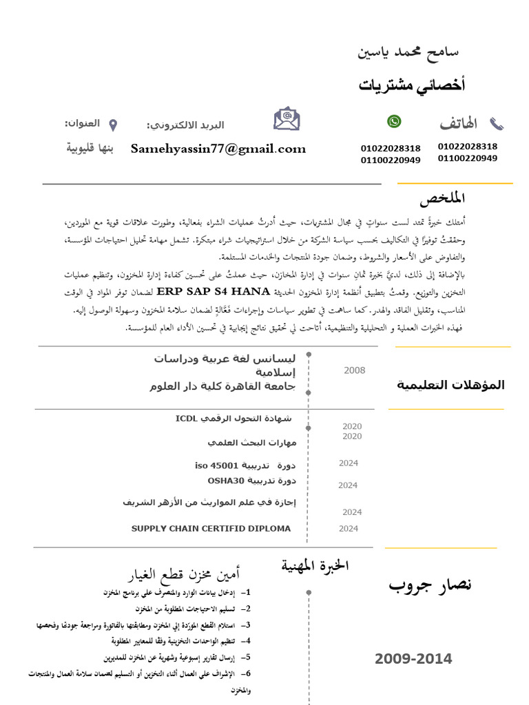 C.V Sameh Yassin Supply Chain-1 | PDF