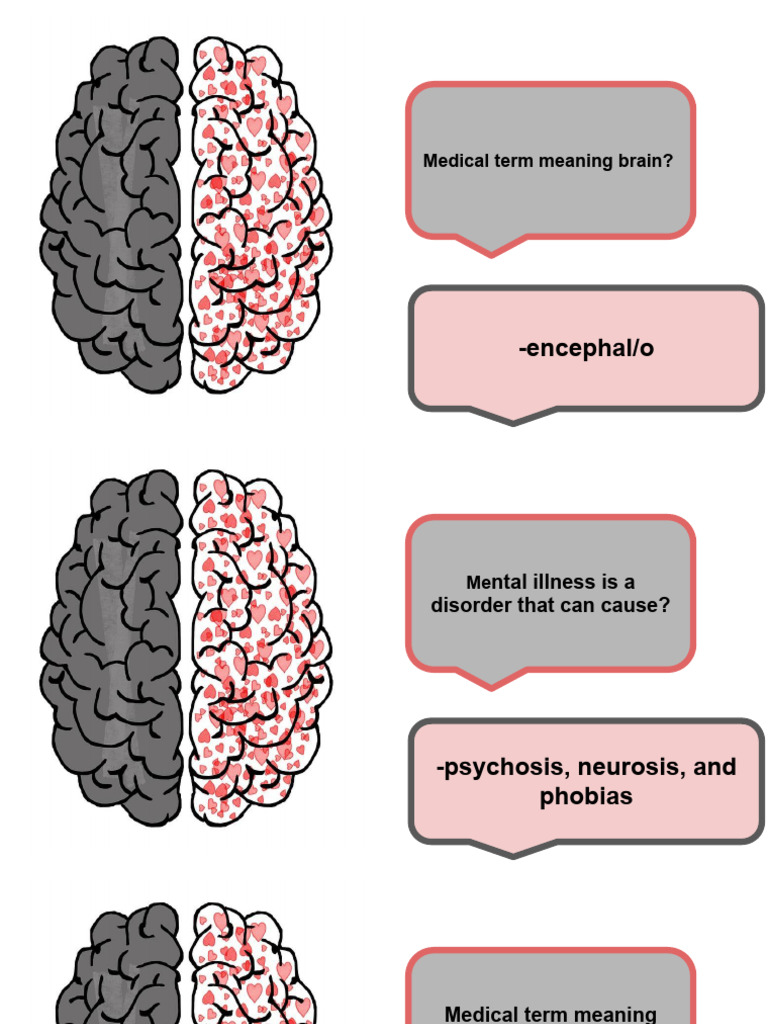 Nervous System Assignment #3 | PDF