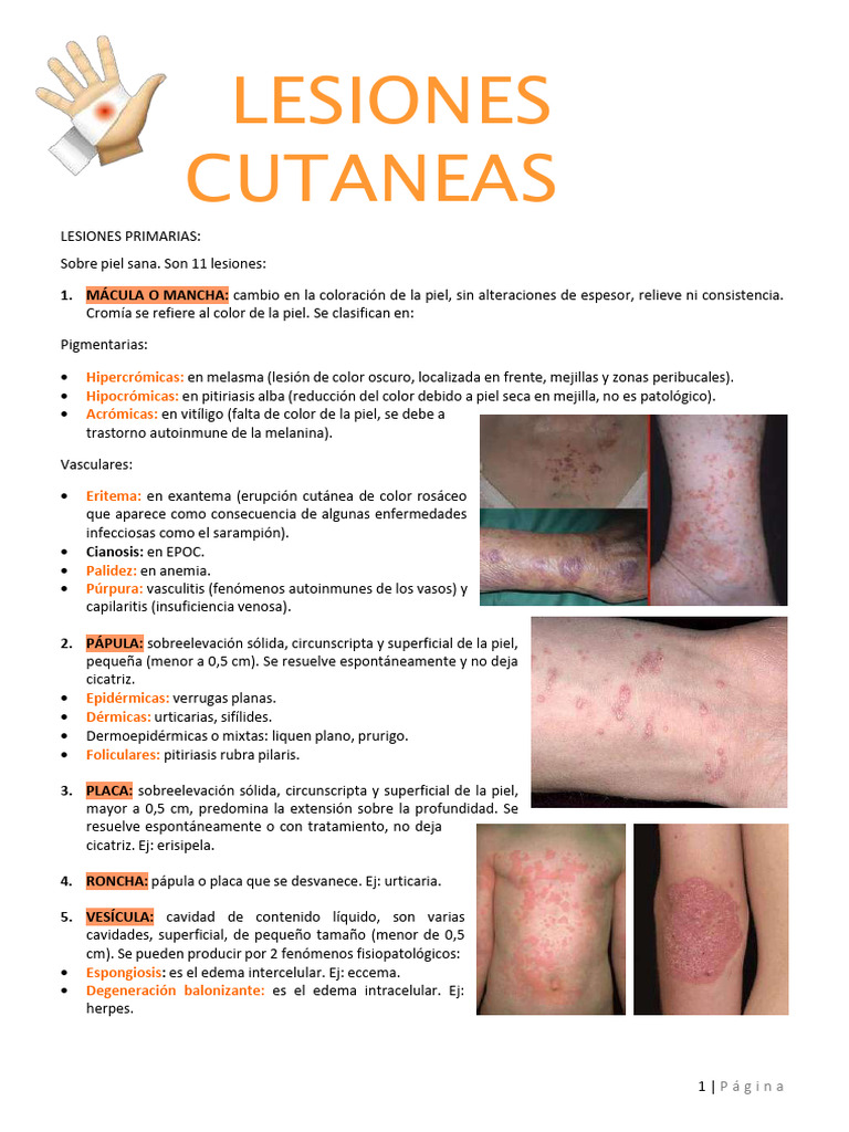 Lesiones primarias y secundarias de la piel | PDF | Piel | Neoplasias